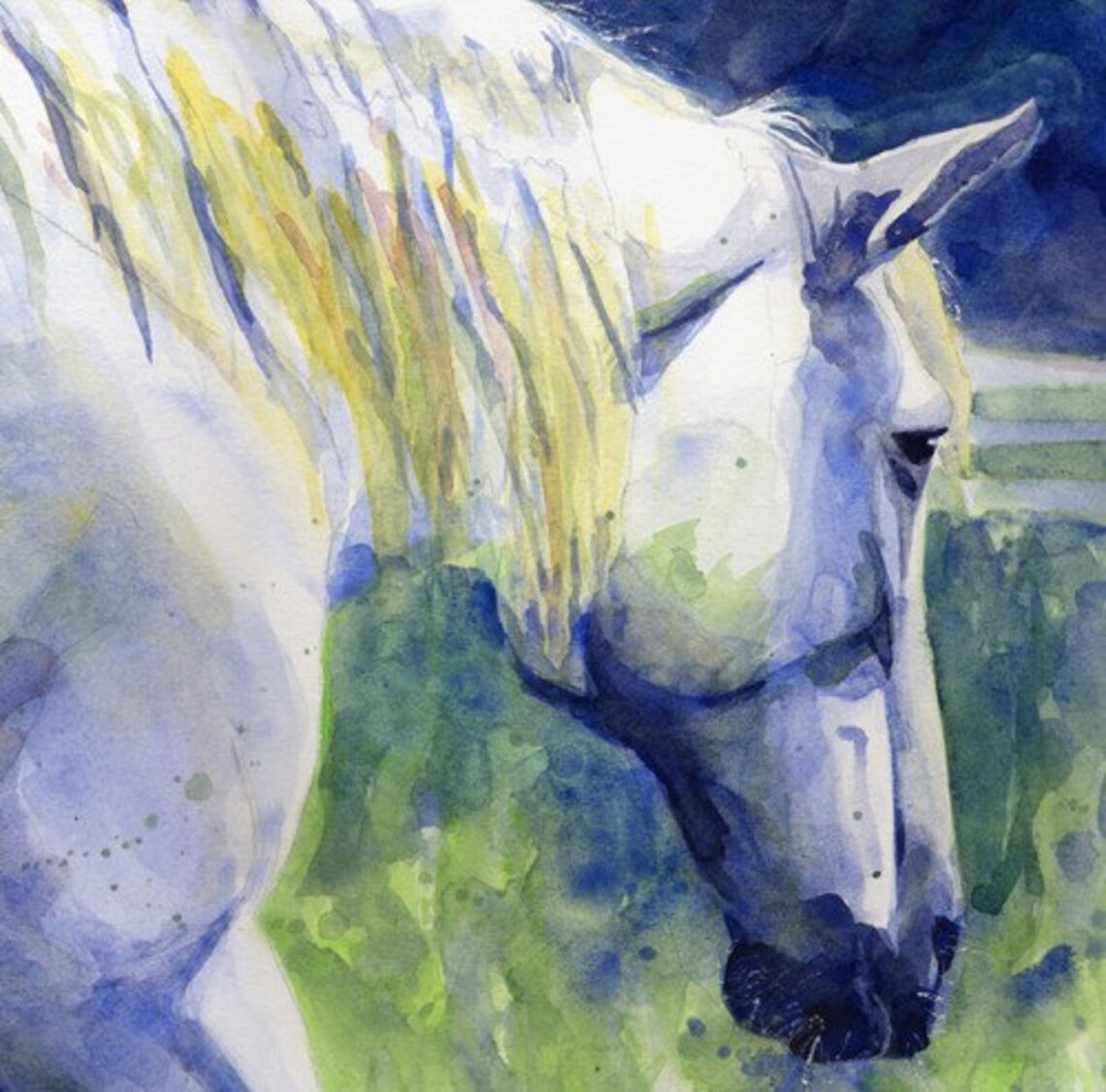 White Horse Percheron Art Print of My Watercolor Painting Day off Large ...