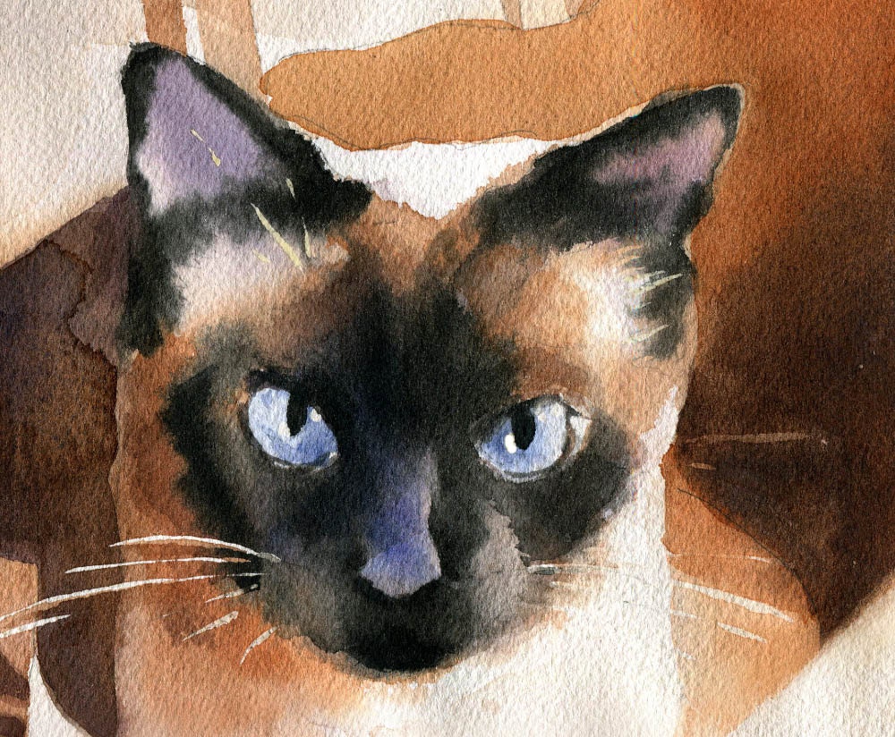 Traditional Applehead Siamese Cat Art Seal Chocolate Point - Etsy