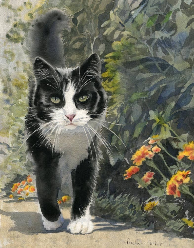 Tuxedo Cat Art