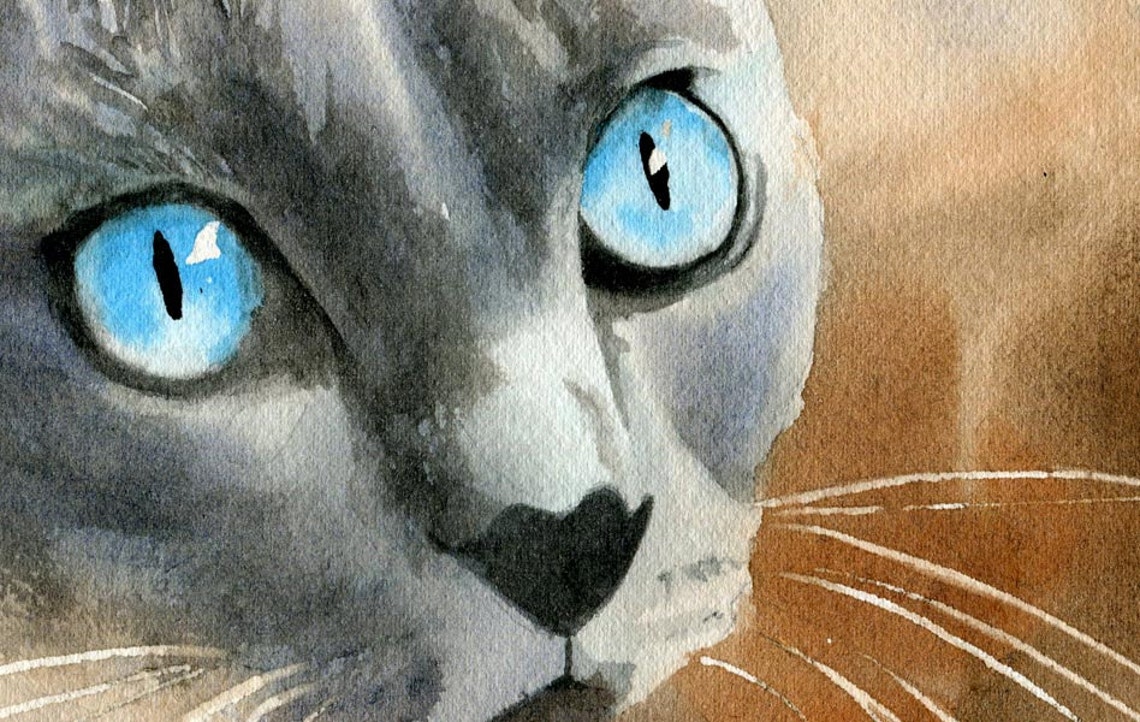 Tonkinese Tonk Siamese Cat Art Print of a Watercolor Painting Big Large ...