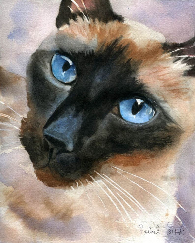 Siamese Cat Art Print of a Watercolor Painting Big Large Huge - Etsy
