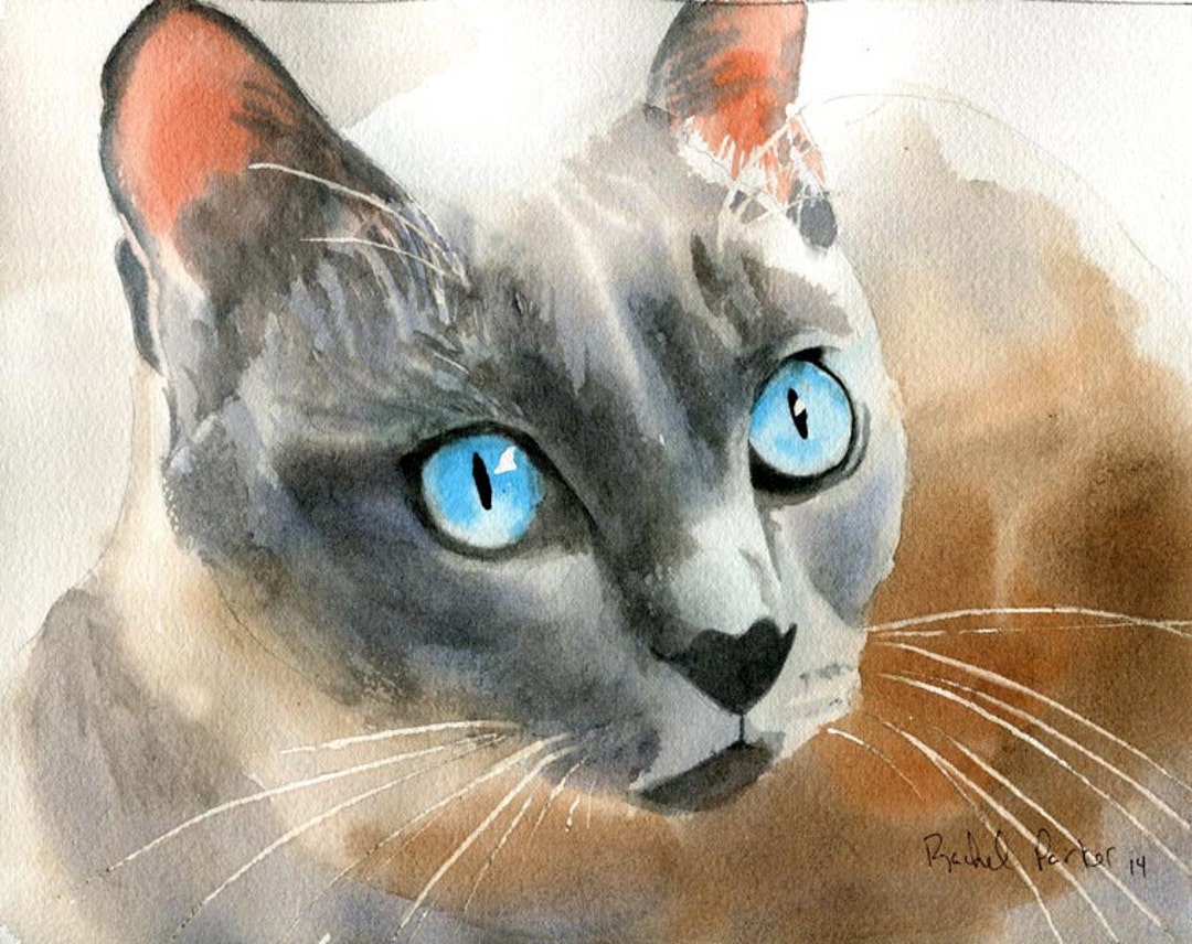 Tonkinese Tonk Siamese Cat Art Print of a Watercolor Painting Big Large ...