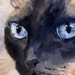 Print Applehead Siamese Cat Art Print of a Watercolor Painting Big ...