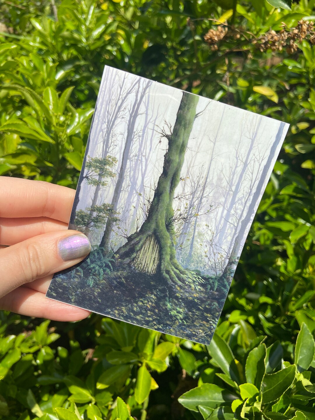 The Sanctuary Woodland Stickers - Limited Edition - Etsy