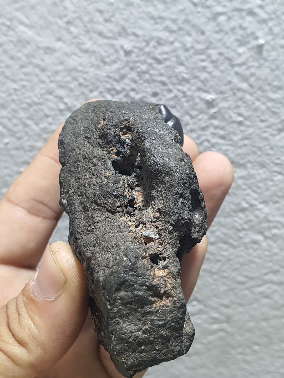 Adventurer's Treasure Unearthed Stone Specimen From Expedition Journey ...