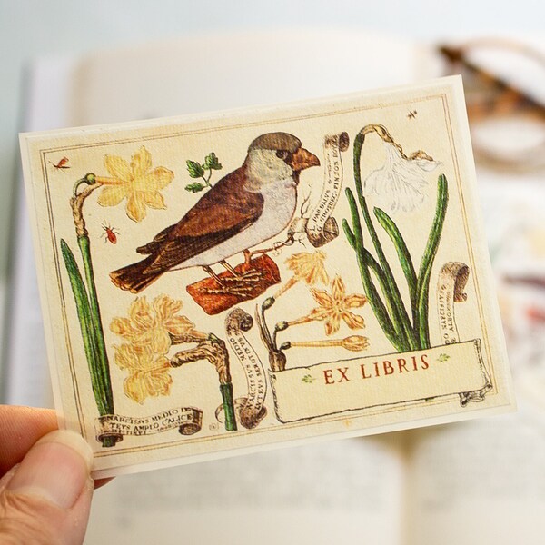 Ex Libris Bookplates - Etsy
