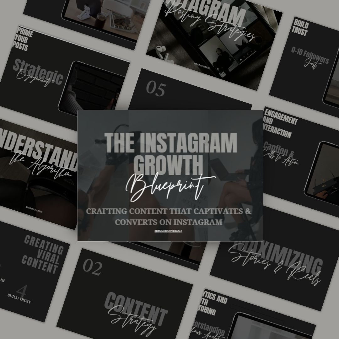 The Instagram Growth Blueprint PLR Resell Rights - Etsy