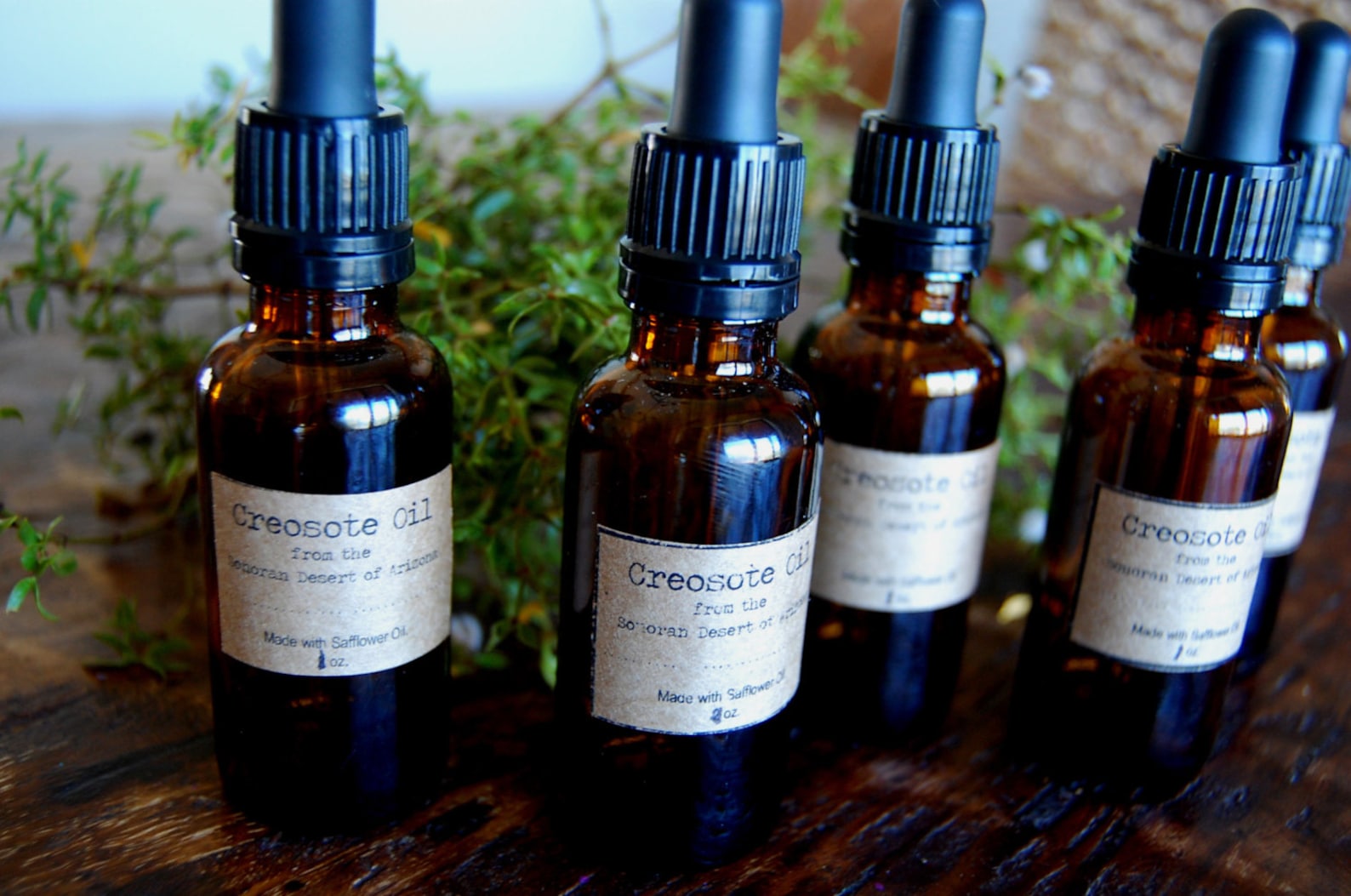 Creosote Oil Chaparral Oil Greasewood Organic Infused Desert - Etsy