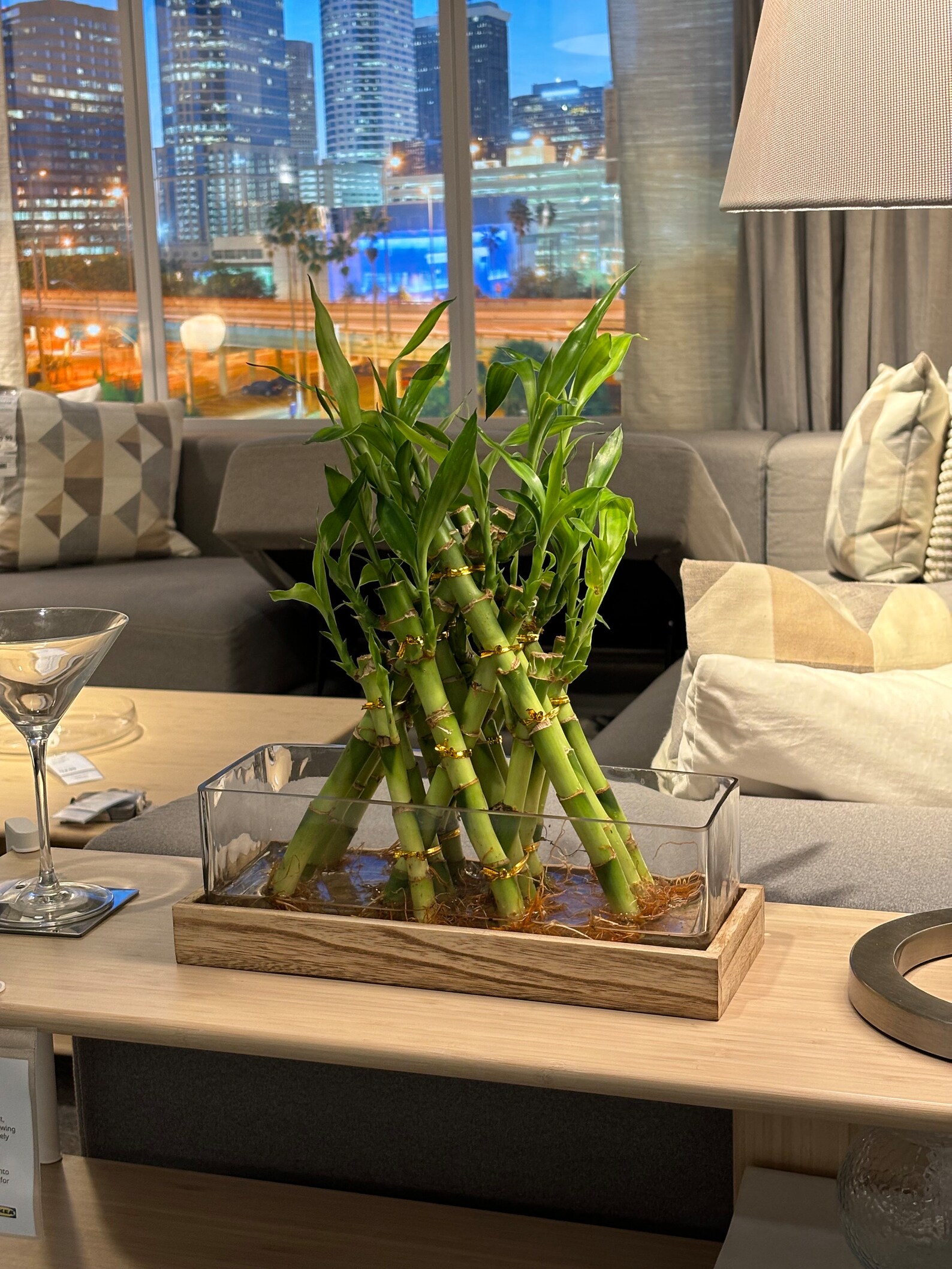 Live Lucky Bamboo Three Layer Pyramid in Rectangle Glass and Wood ...