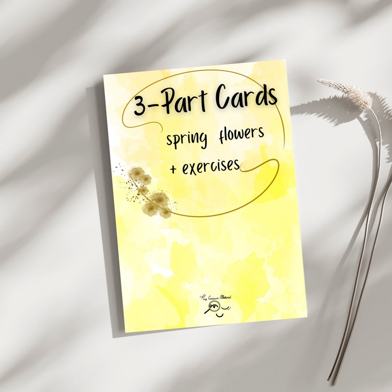 SPRING FLOWERS, Montessori Printable Cards, Three Part Cards ...