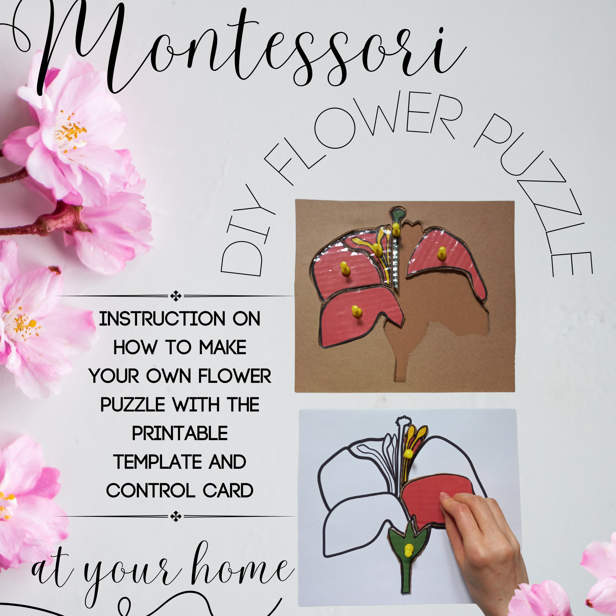 Parts of a Flower 3-part Cards Montessori and Printable PDF Flower ...