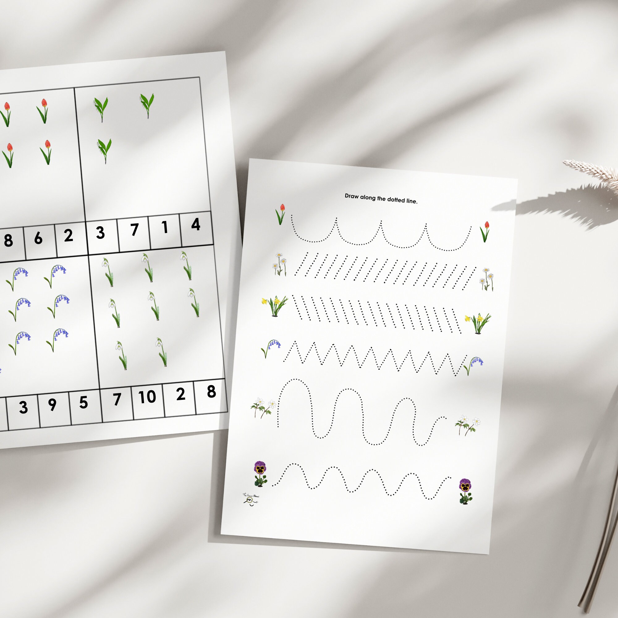 SPRING FLOWERS, Montessori Printable Cards, Three Part Cards ...