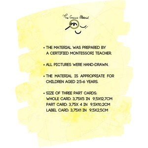 Parts of a Flower 3-part Cards Montessori and Printable PDF Flower ...