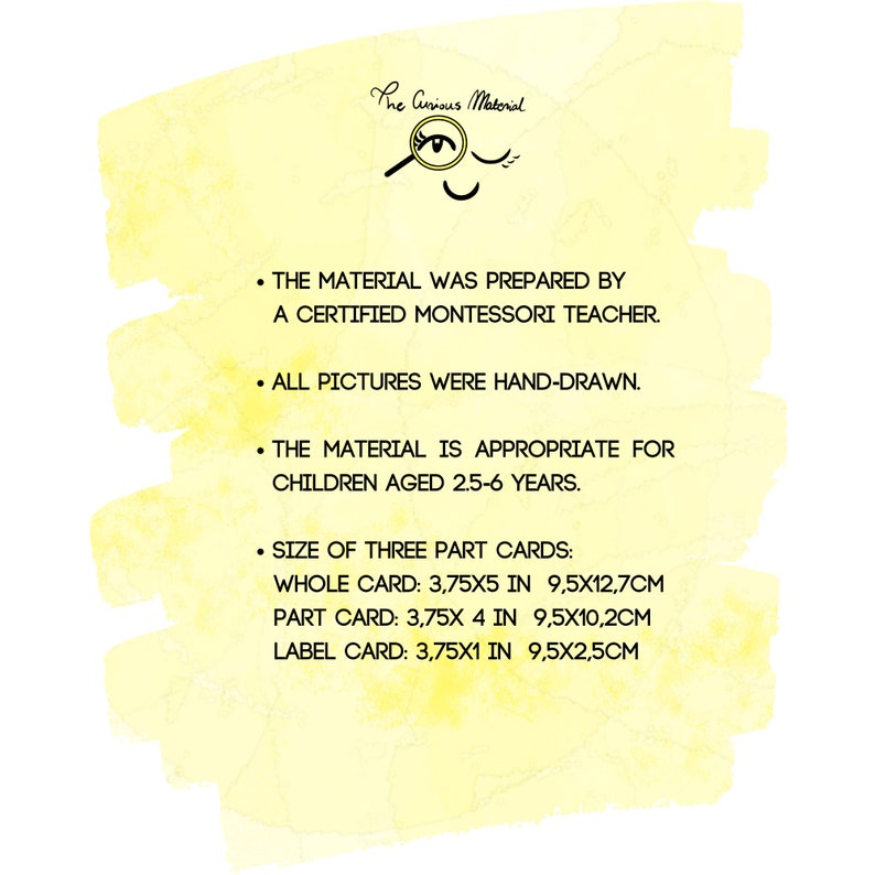 Parts of a Flower 3-part Cards Montessori and Printable PDF Flower ...