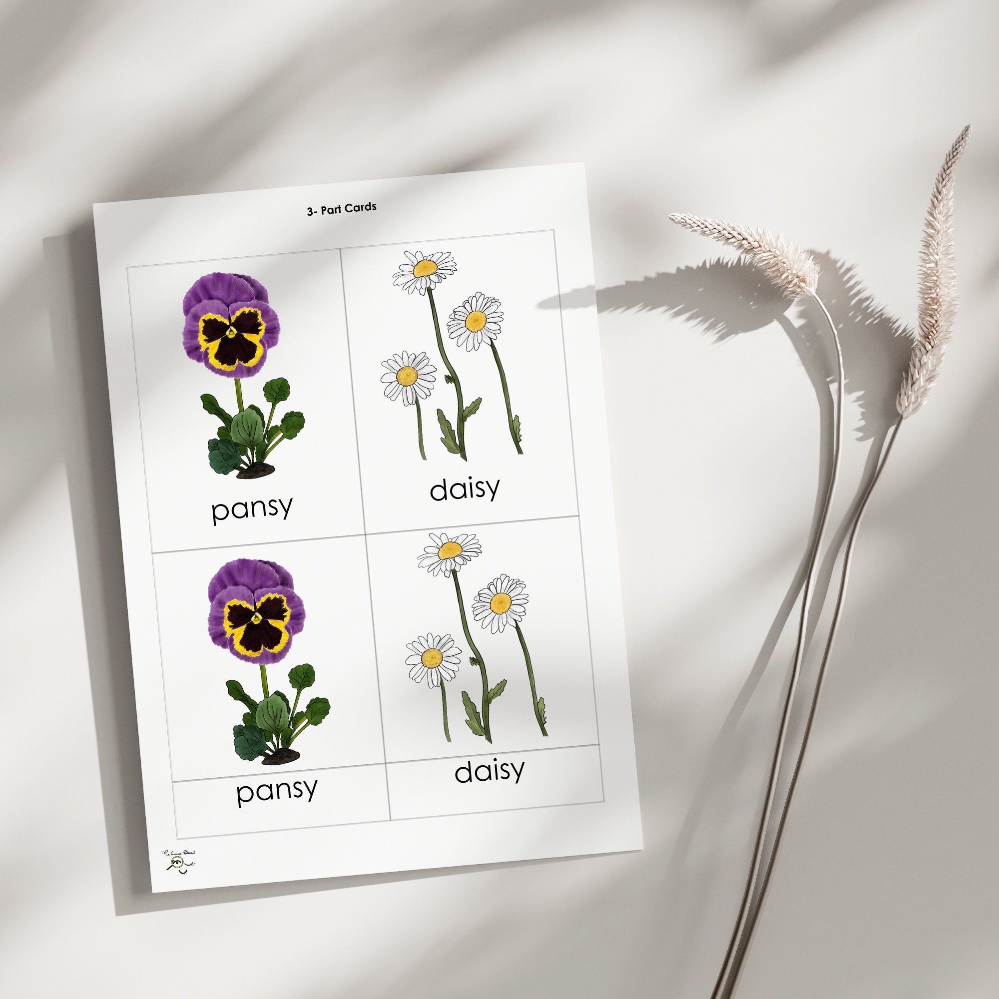SPRING FLOWERS, Montessori Printable Cards, Three Part Cards ...