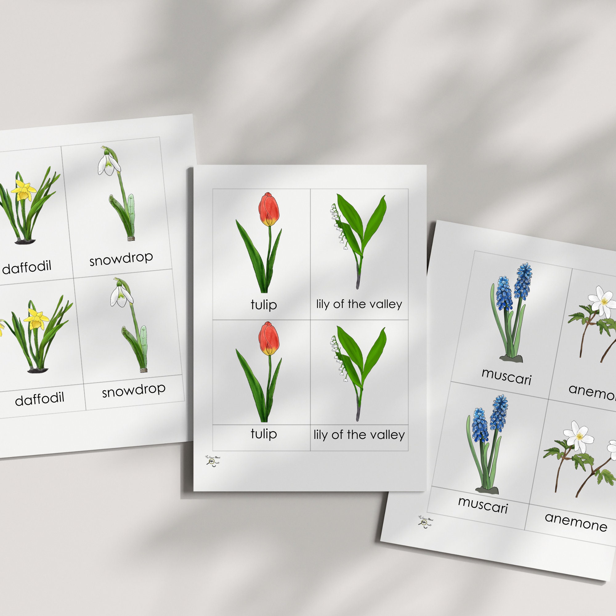 SPRING FLOWERS, Montessori Printable Cards, Three Part Cards ...