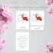 Parts of a Flower 3-part Cards Montessori and Printable PDF Flower ...