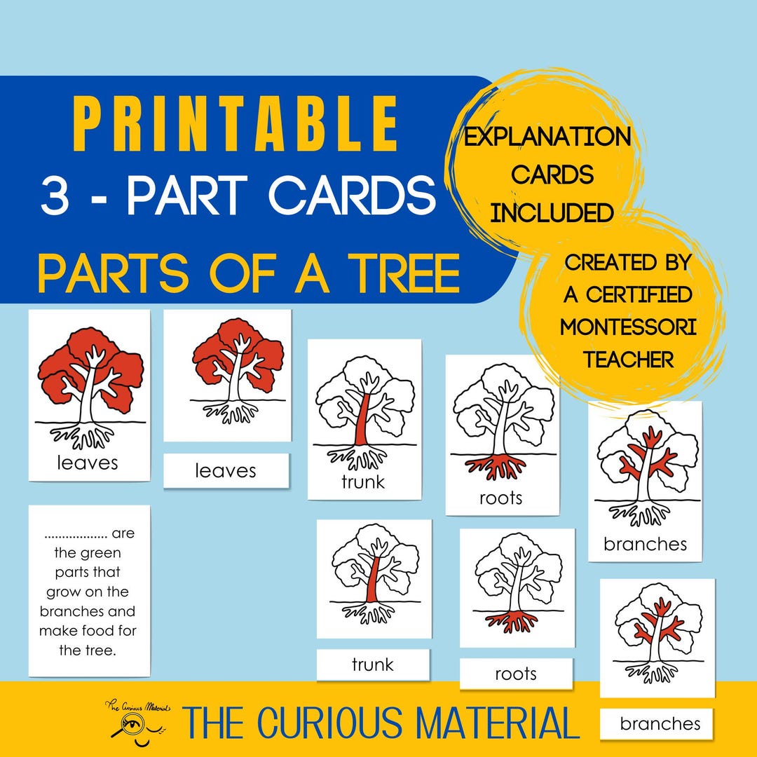 Montessori Tree Parts 3-part Cards, Explanation Cards, Control Card ...