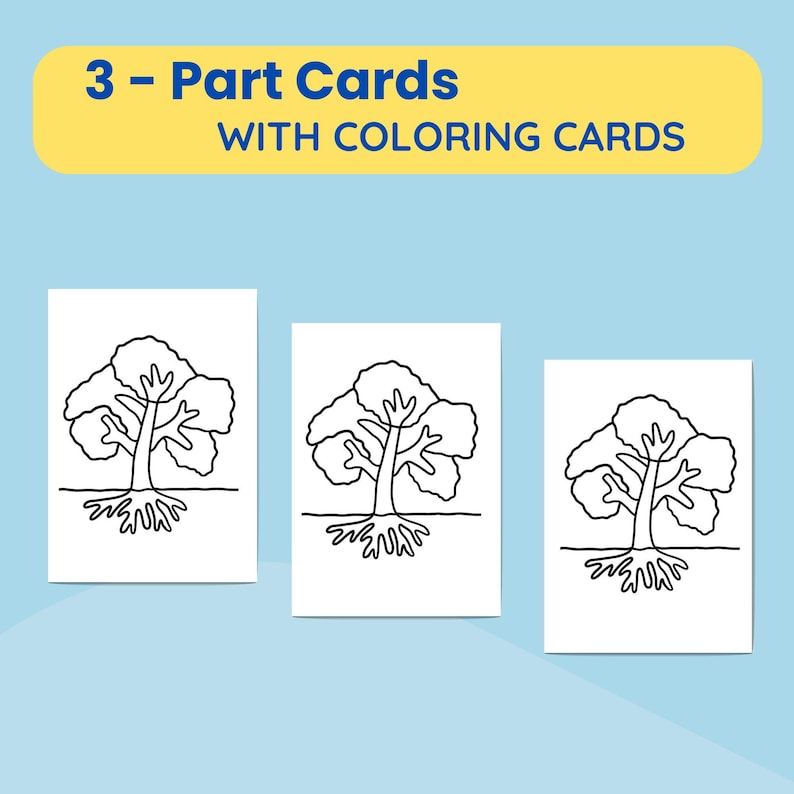 Montessori Tree Parts 3-part Cards, Explanation Cards, Control Card ...