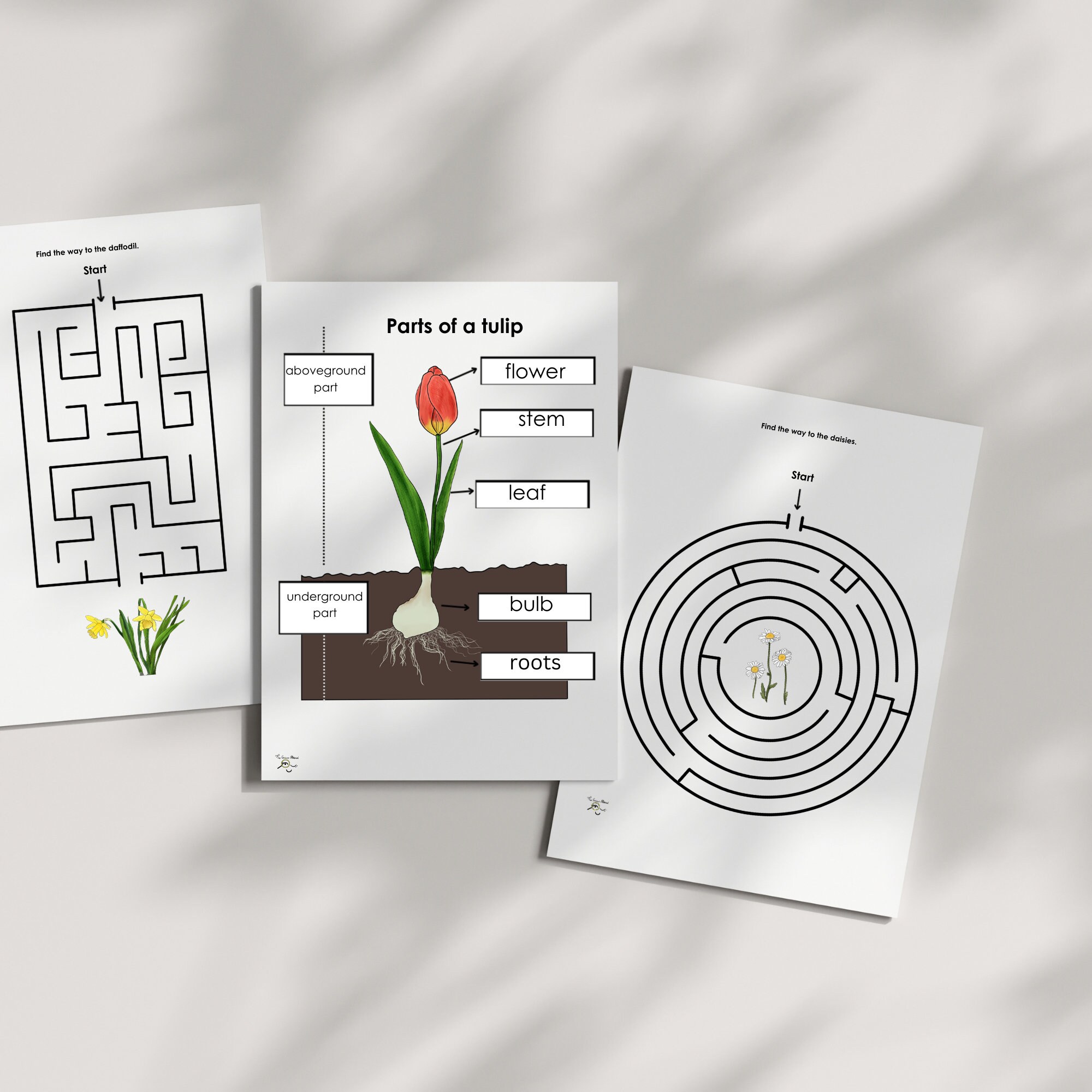 SPRING FLOWERS, Montessori Printable Cards, Three Part Cards ...