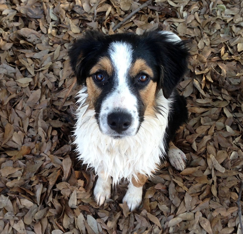 Rectangle Ring Solid Sterling Silver is Eco Friendly From - Etsy