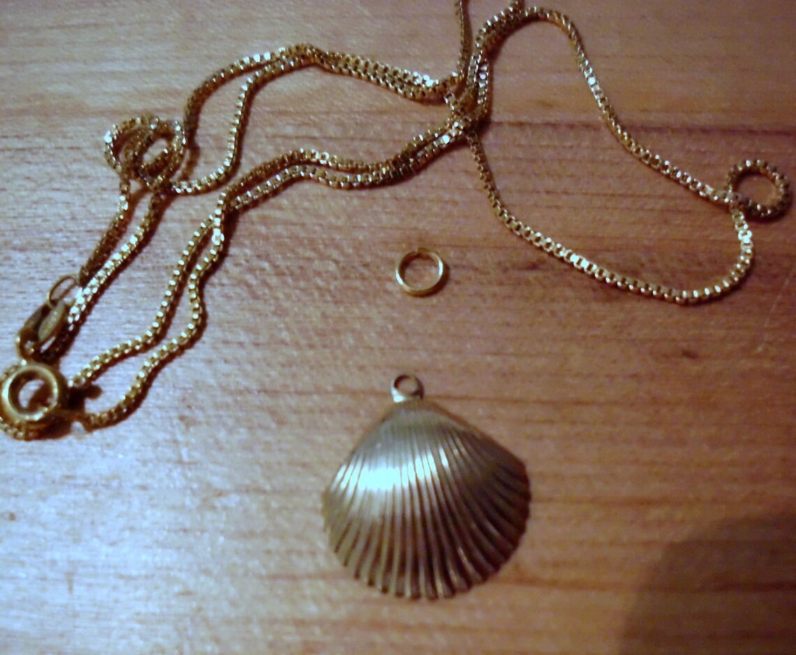 Seashell Pendant Necklace Gold. 3/4 Star is 14k Gold - Etsy