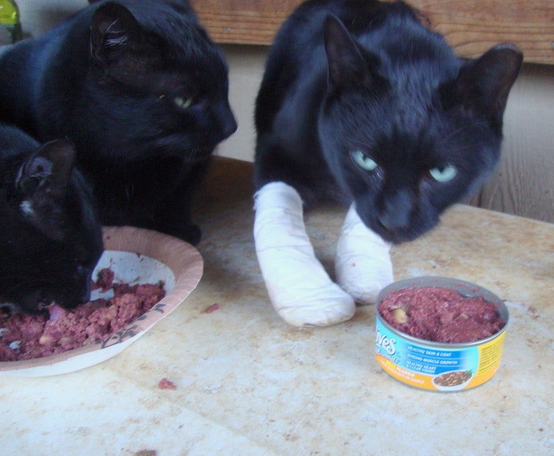 Rectangle Ring Solid Sterling Silver is Eco Friendly From - Etsy