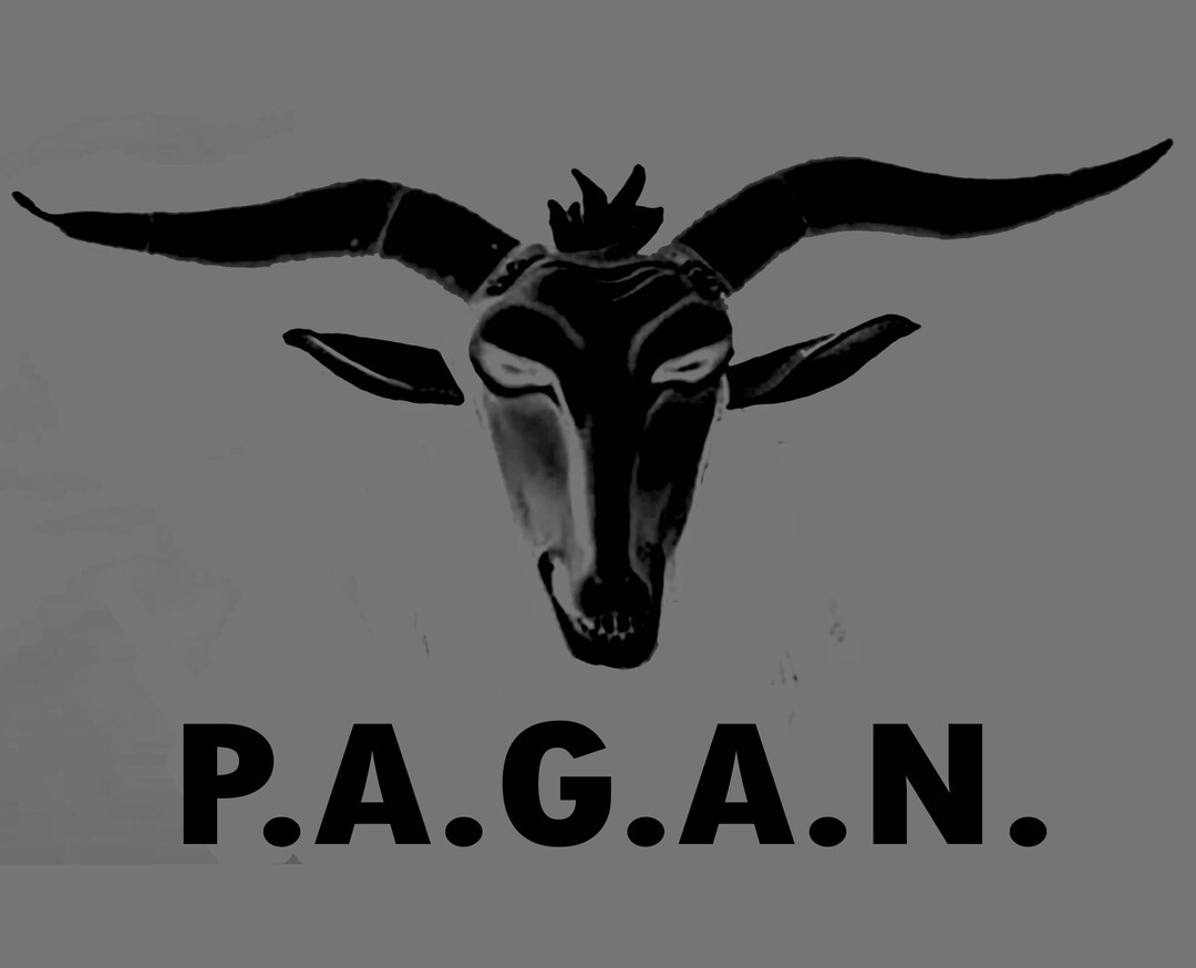 P.A.G.A.N. Dragnet T-shirt - Etsy