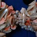 Seashell Bra - Etsy