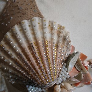 Seashell Bra - Etsy