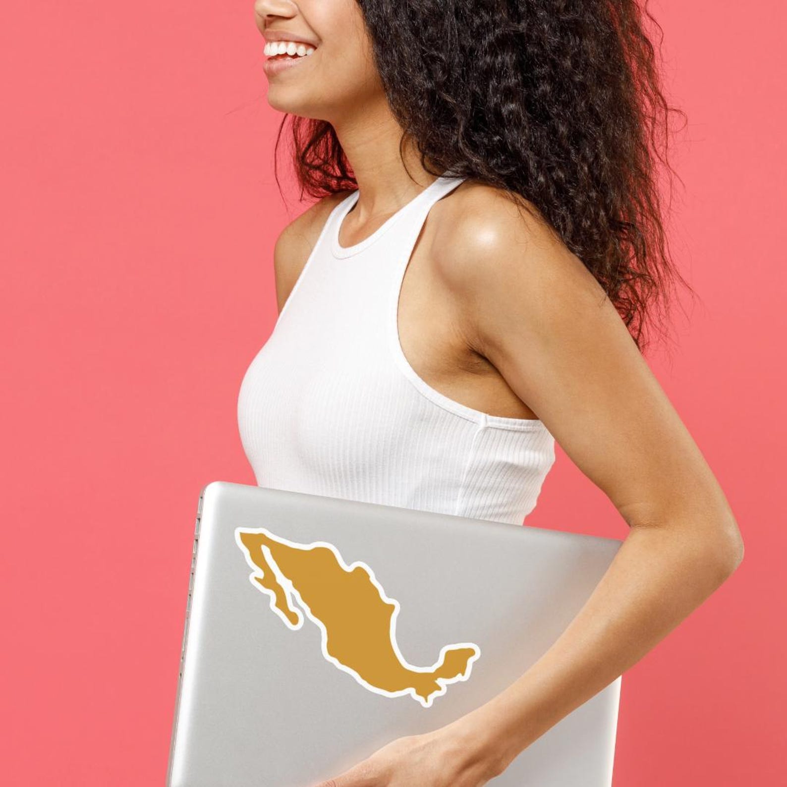 Map of Mexico Travel Sticker Mexico Gift for Traveler Laptop Decal ...