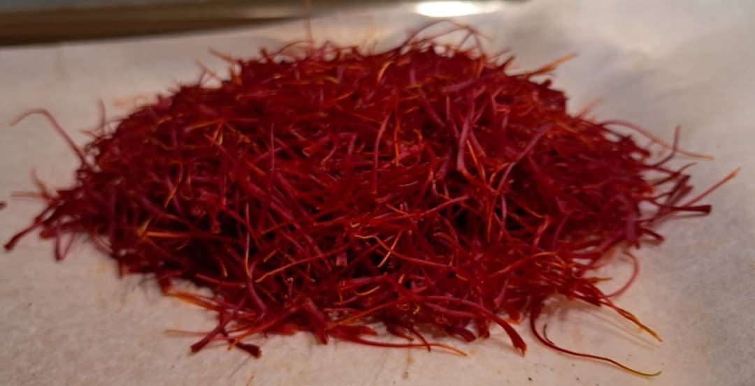 Saffron Saffran shafran 100% Italian 1 Gram - Etsy