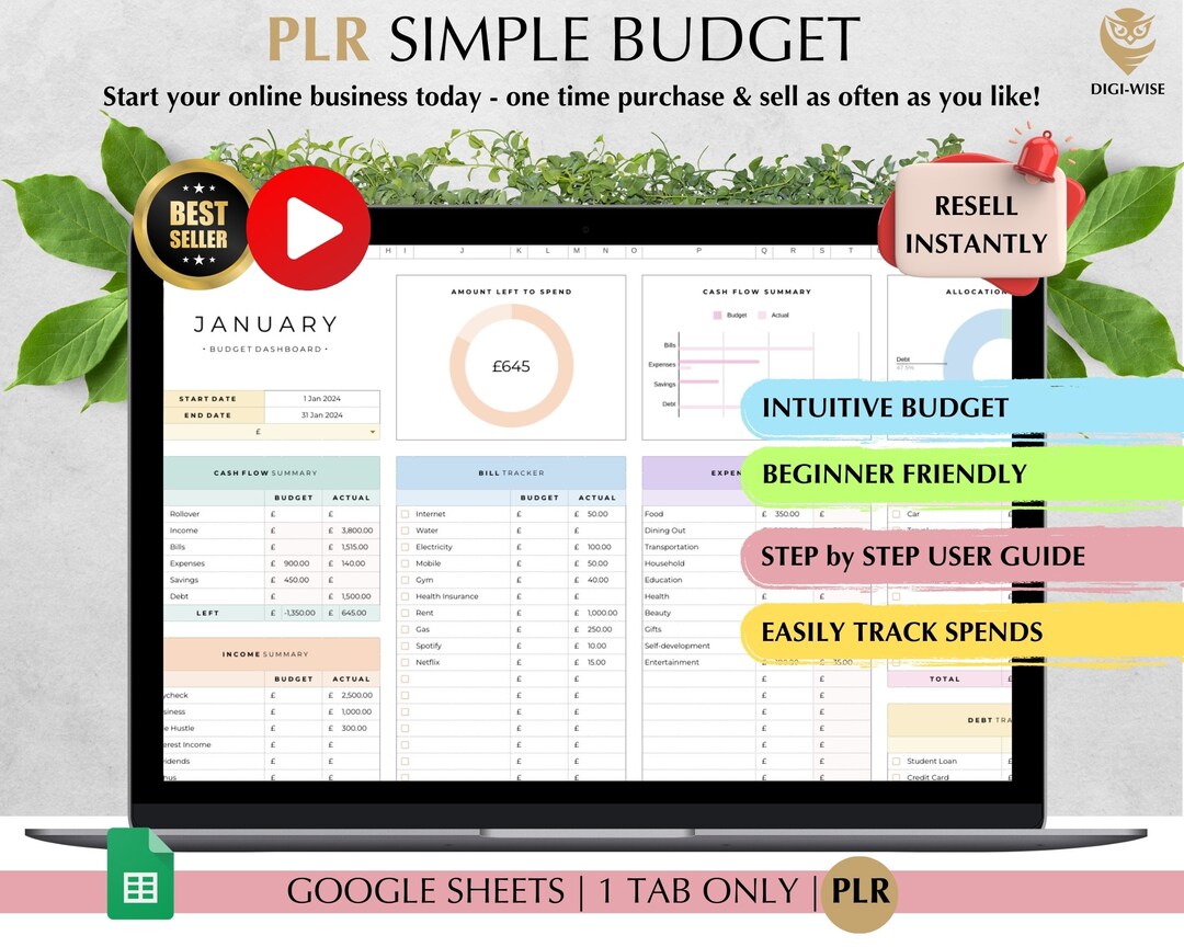PLR Budget Template for Google Sheets Master Resell Rights Commercial ...