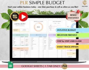 PLR Budget Template for Google Sheets Master Resell Rights Commercial ...