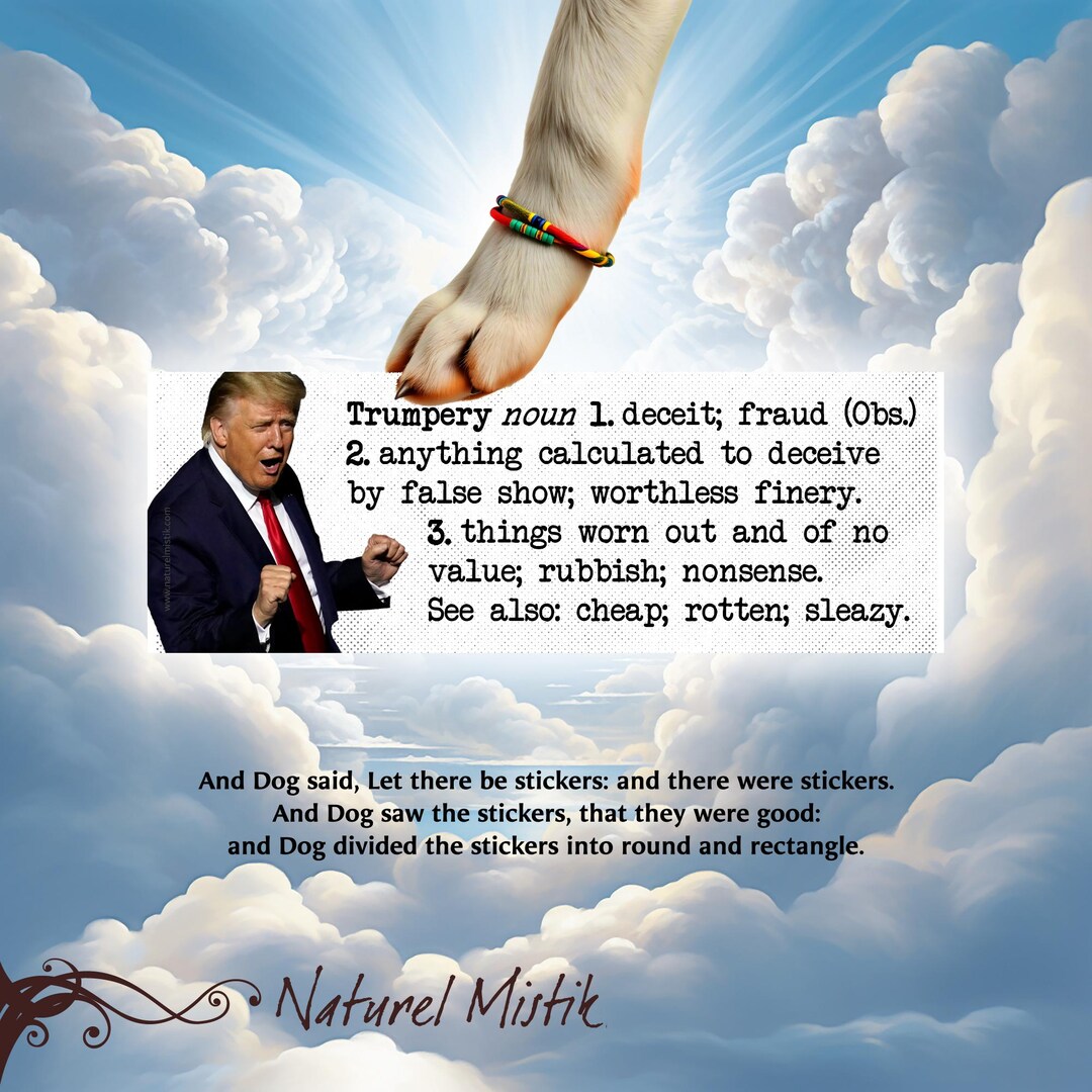 Bumper Sticker, Trumpery, FDT, Activist, Resist, Social Justice, Anti ...