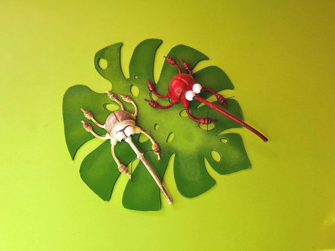 Wooden Weevils, Curculionidae (beetle, Insect), Swiss Cheese Plant/leaf ...