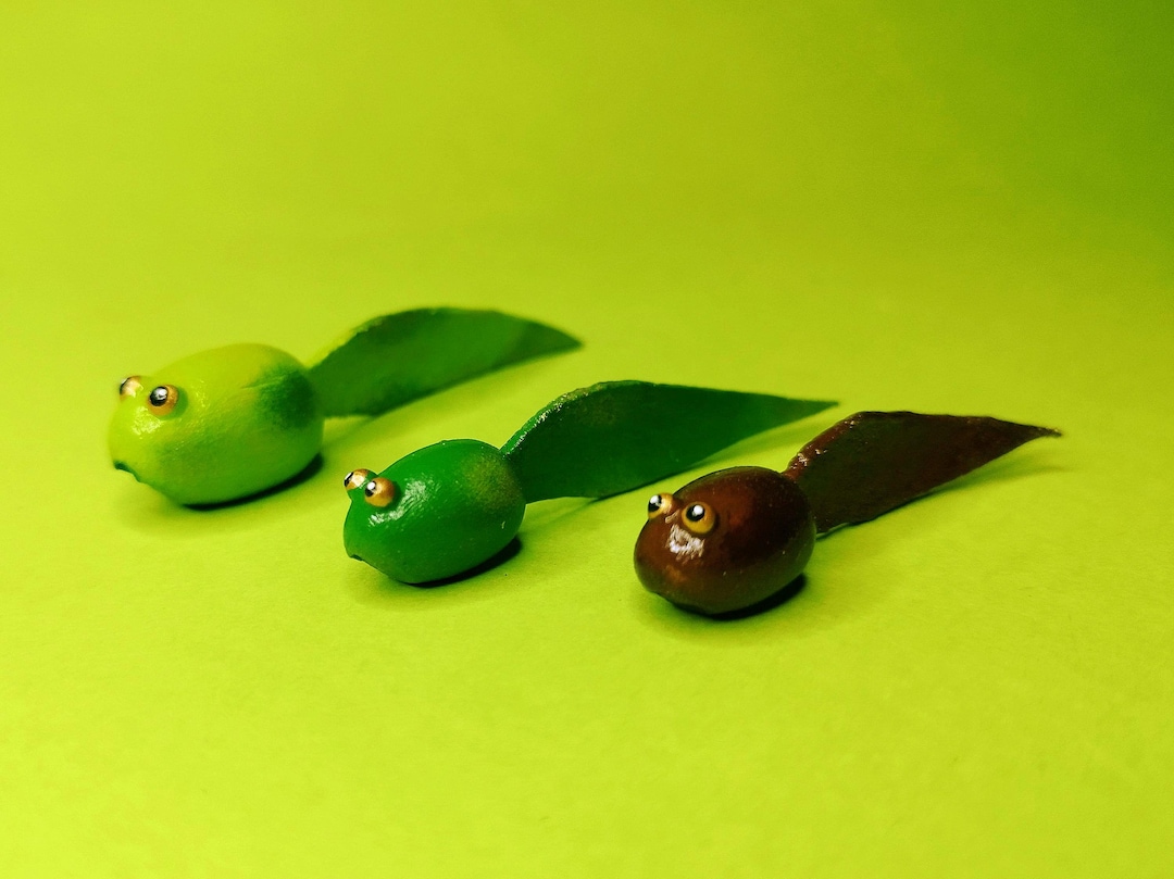 Wooden Tiny Tadpoles. Three Set (3). Custom Colours. Optional Fridge ...