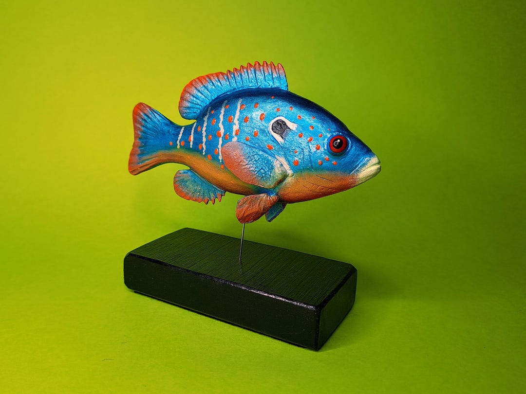 Wooden Panfish, Sunfish: Lepomis orange Spotted, Pumpkinseed, Bluegill ...
