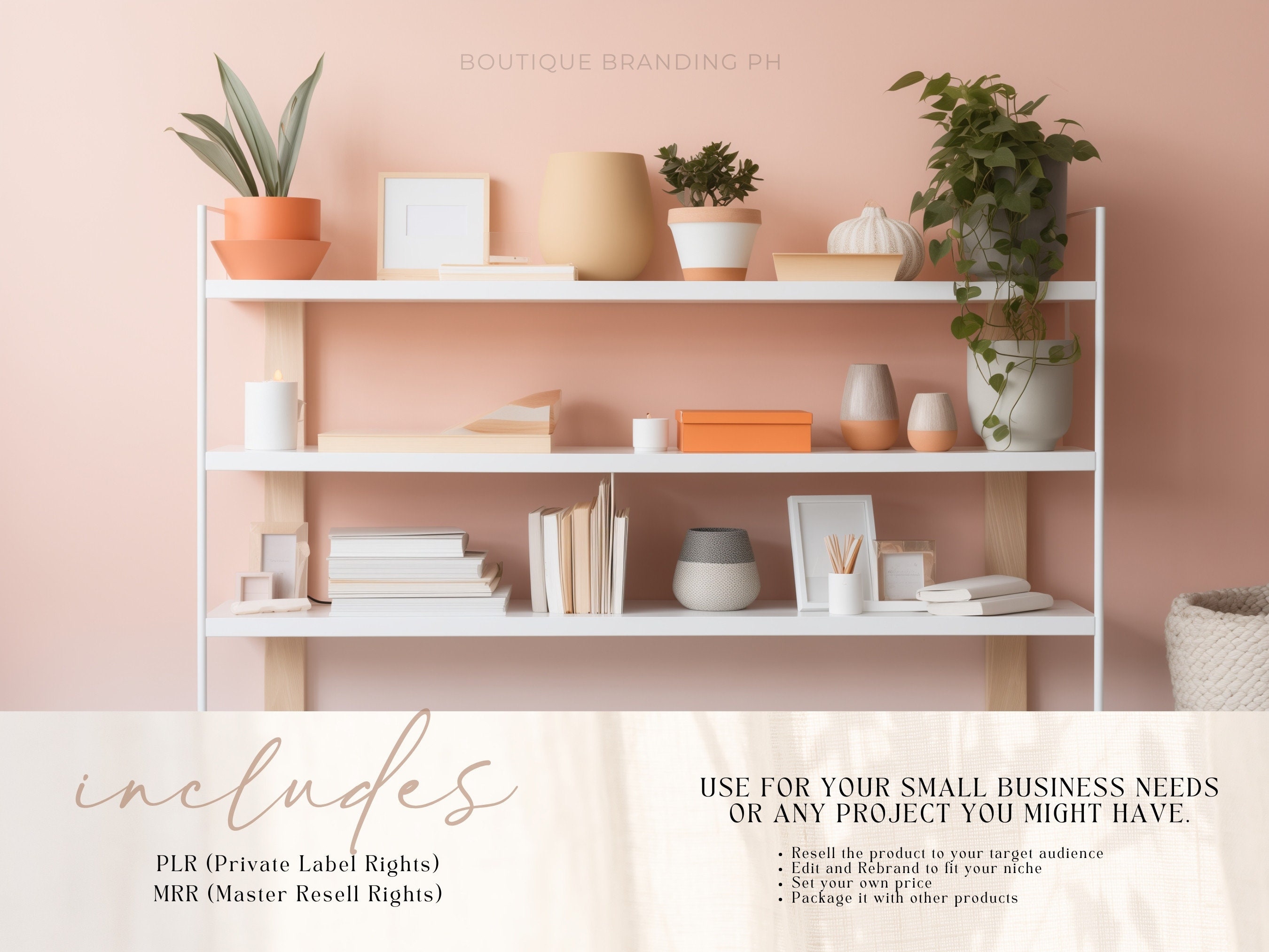 Peach Boho Chic Shelves, Plants Zoom Home Office Background ...