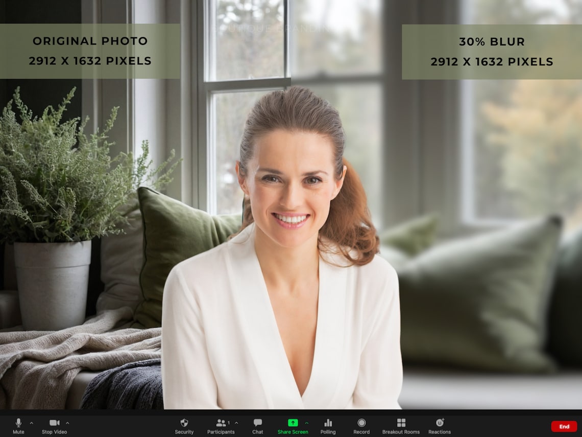 Sage Green Cozy, Windowseat Zoom Home Office Background, Professional ...