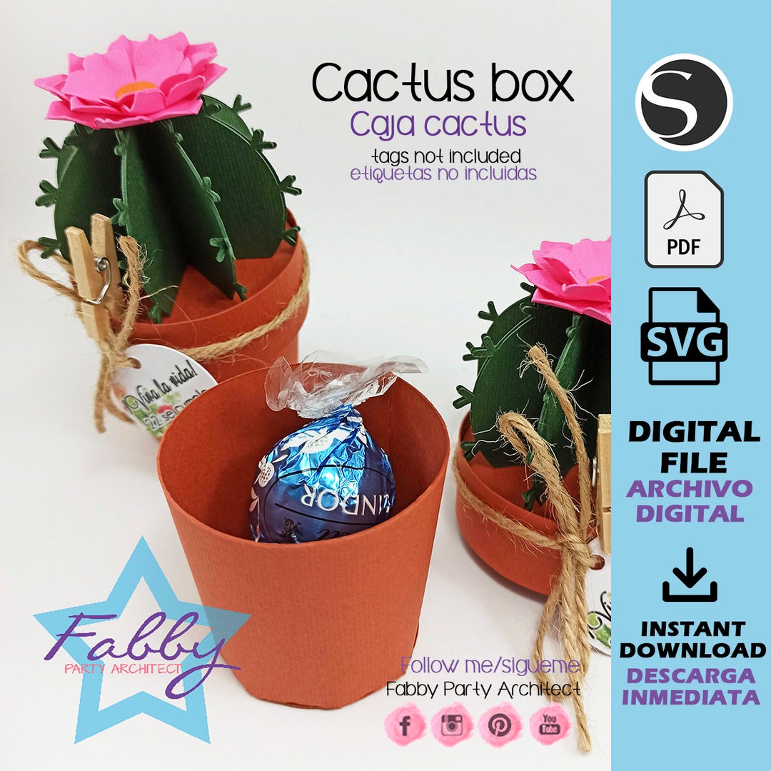 CACTUS BOX / Cutting File Template - Etsy