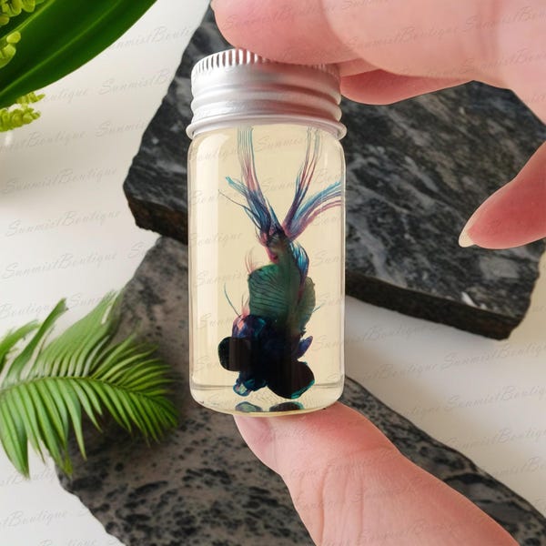 Diaphonization - Etsy