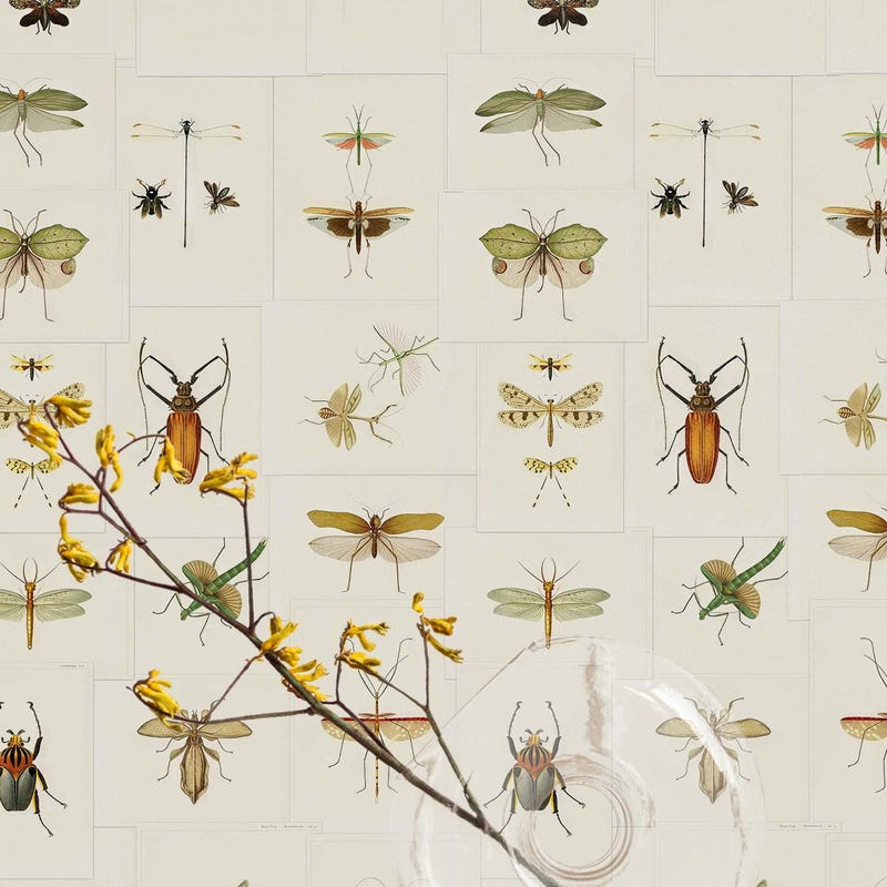 Insect Wallpaper - Etsy Canada