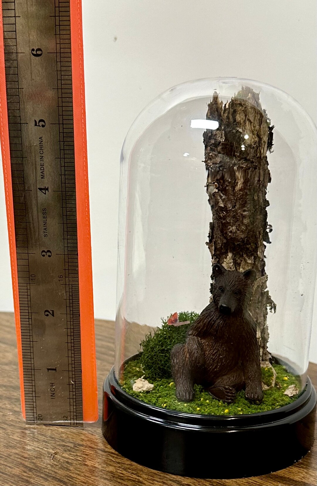 Custom Small Terrarium With Specimen - Etsy