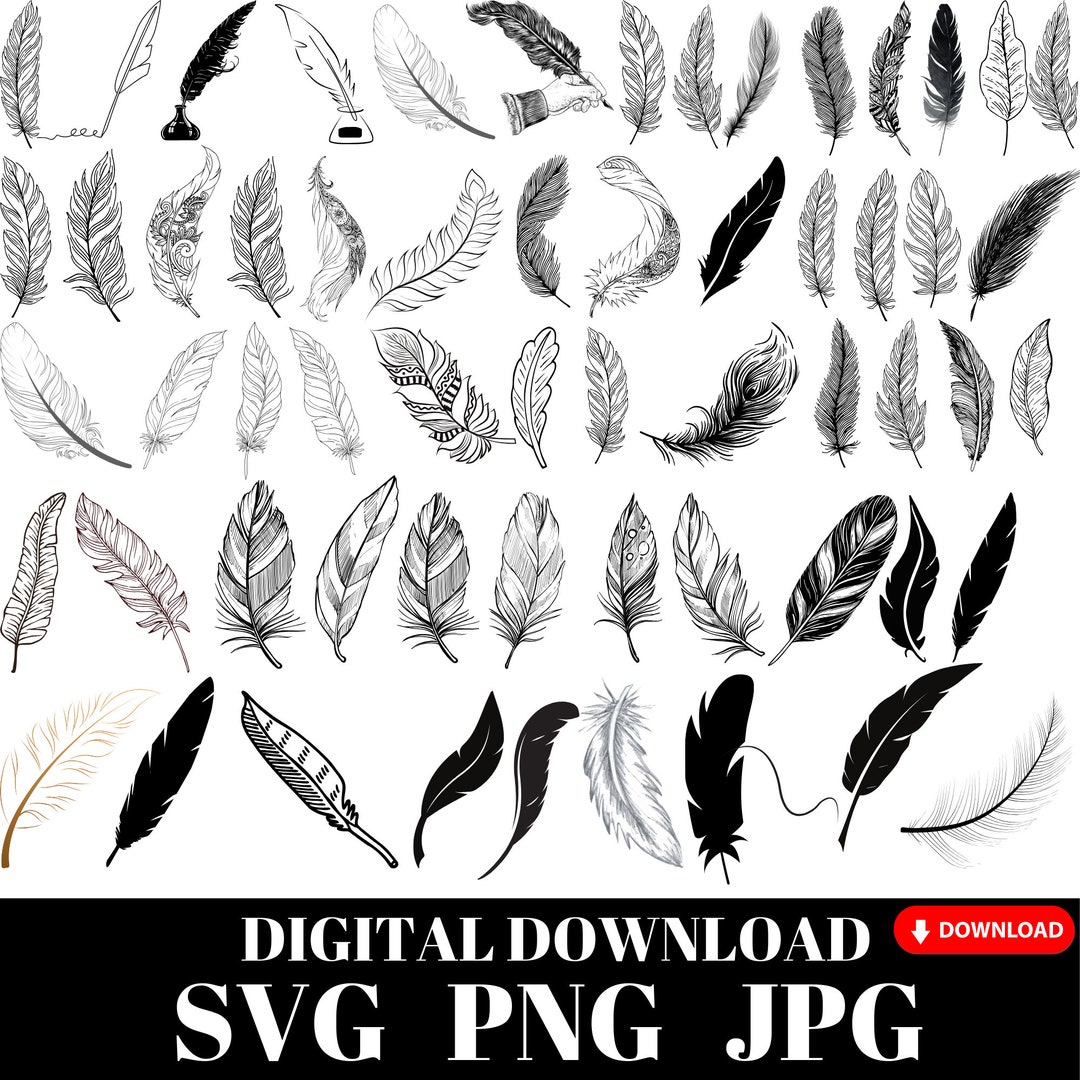 300 Feather Svg Pack, Feather Birds Svg, Dxf, Png, Jpg, Feathers ...