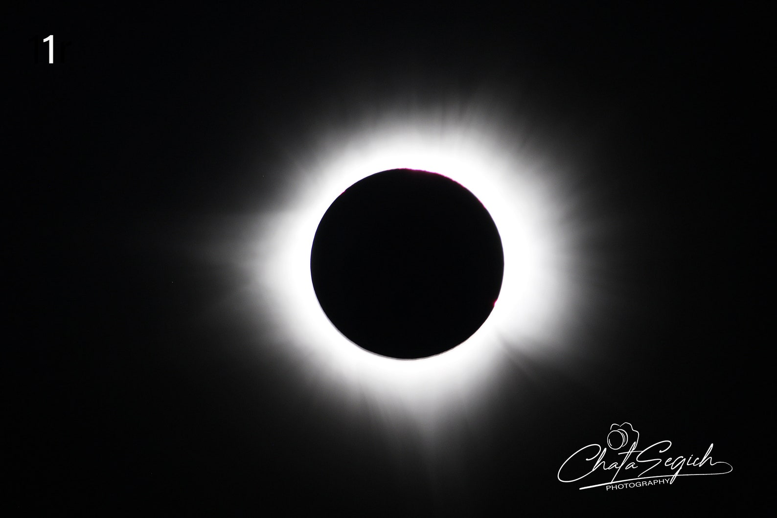 2024 Total Eclipse Prints and Canvas - Etsy