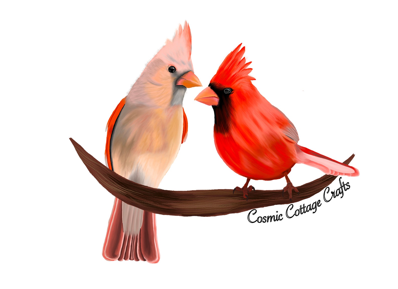 Cardinal Sticker - Etsy