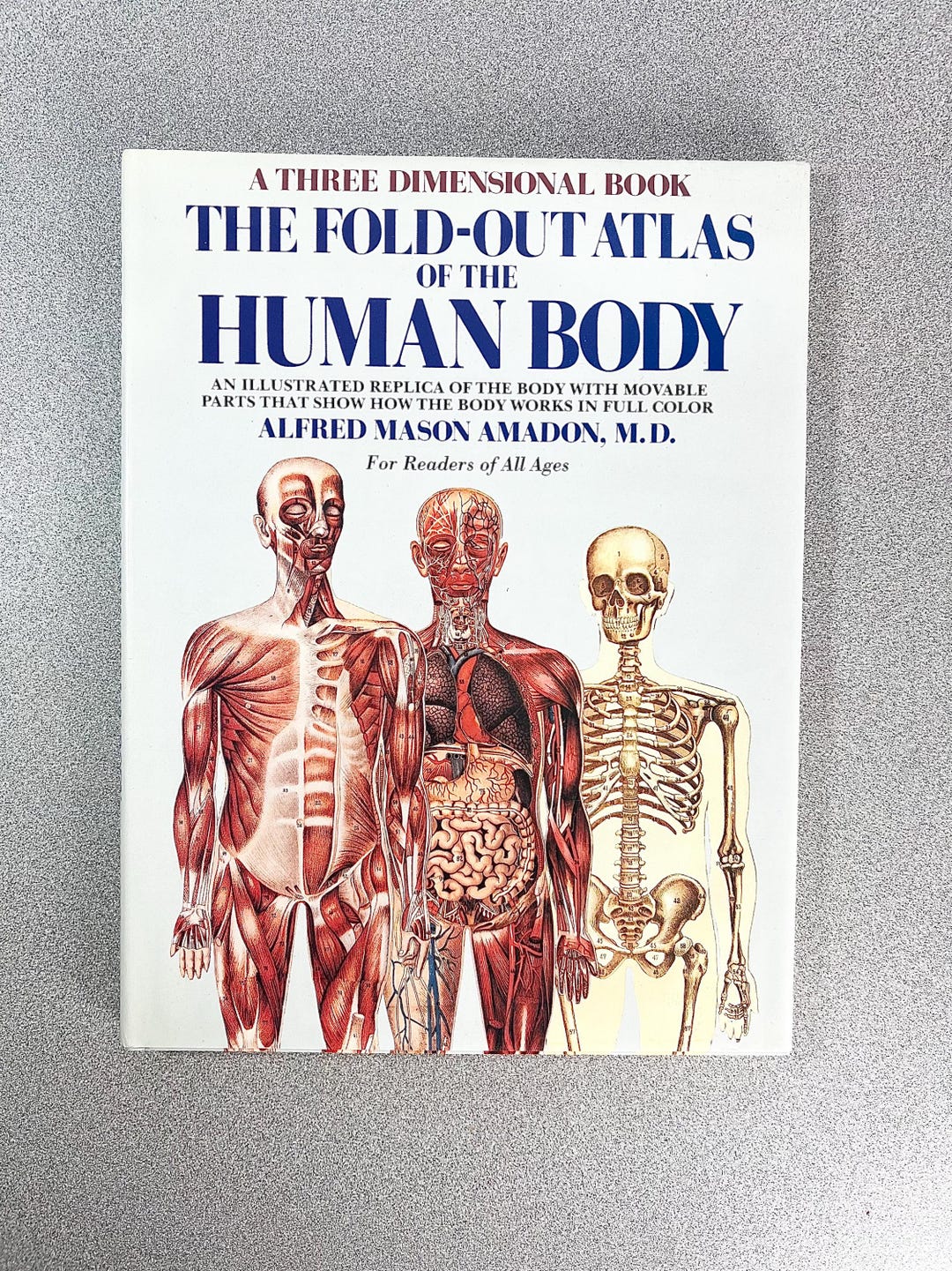 The Fold-out Atlas of the Human Body Anatomy Vintage Medical Pop-up ...