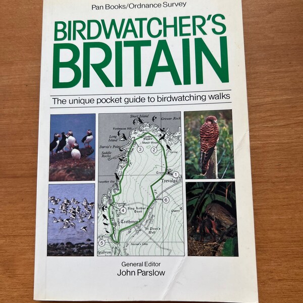 Vintage Birdwatching - Etsy