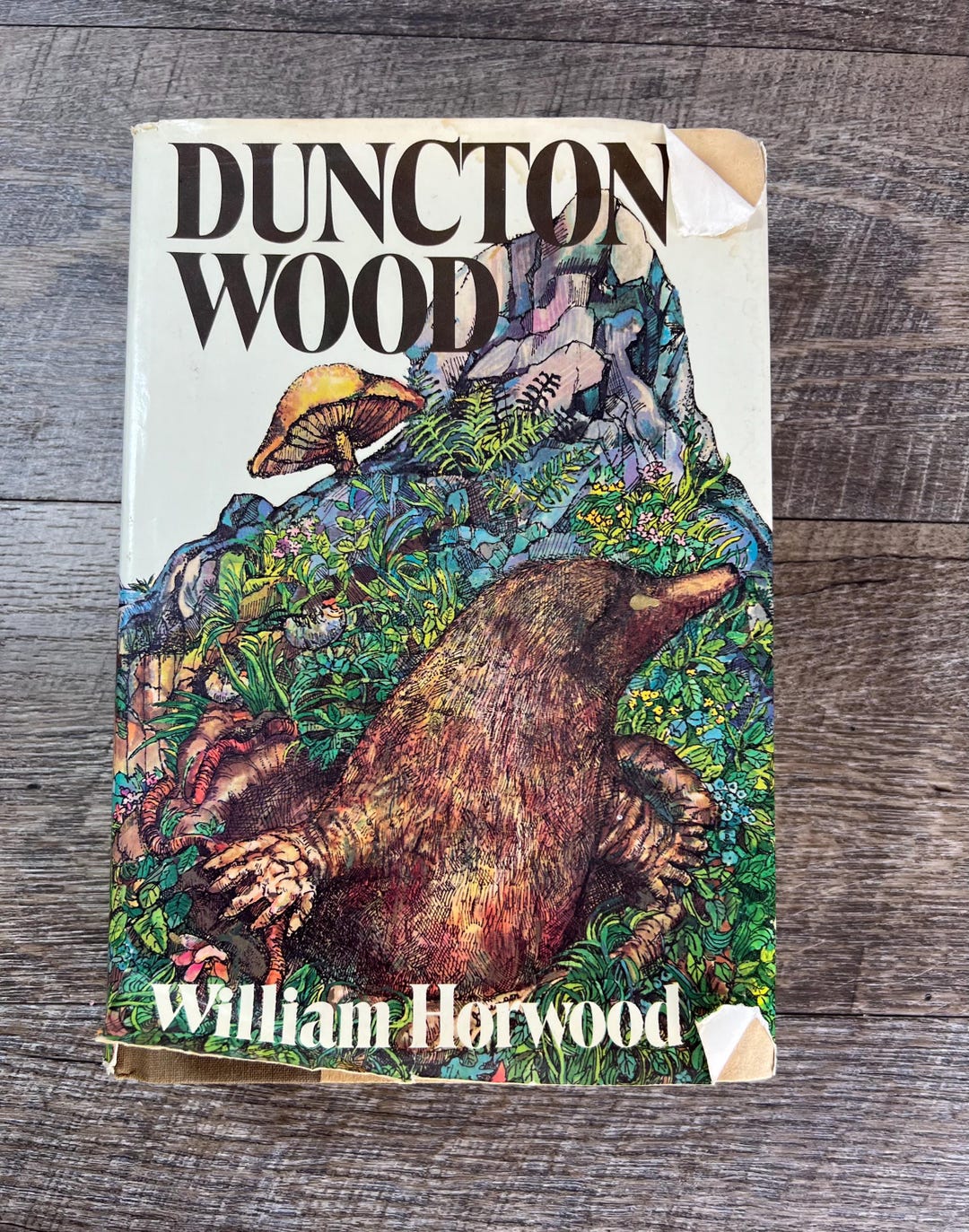 William Horwood DUNCTON WOOD 1980 Legend Myth of Moles First Edition ...